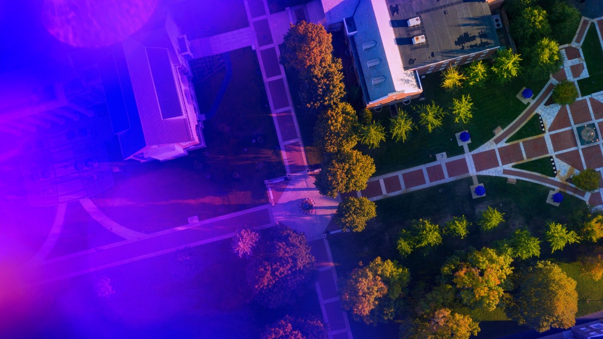 Find Your Path | Stonehill College