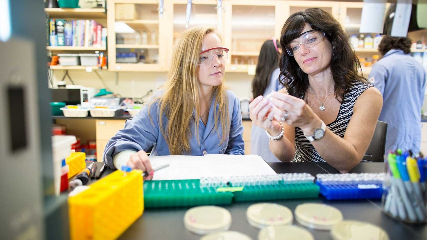 Faculty | Stonehill College