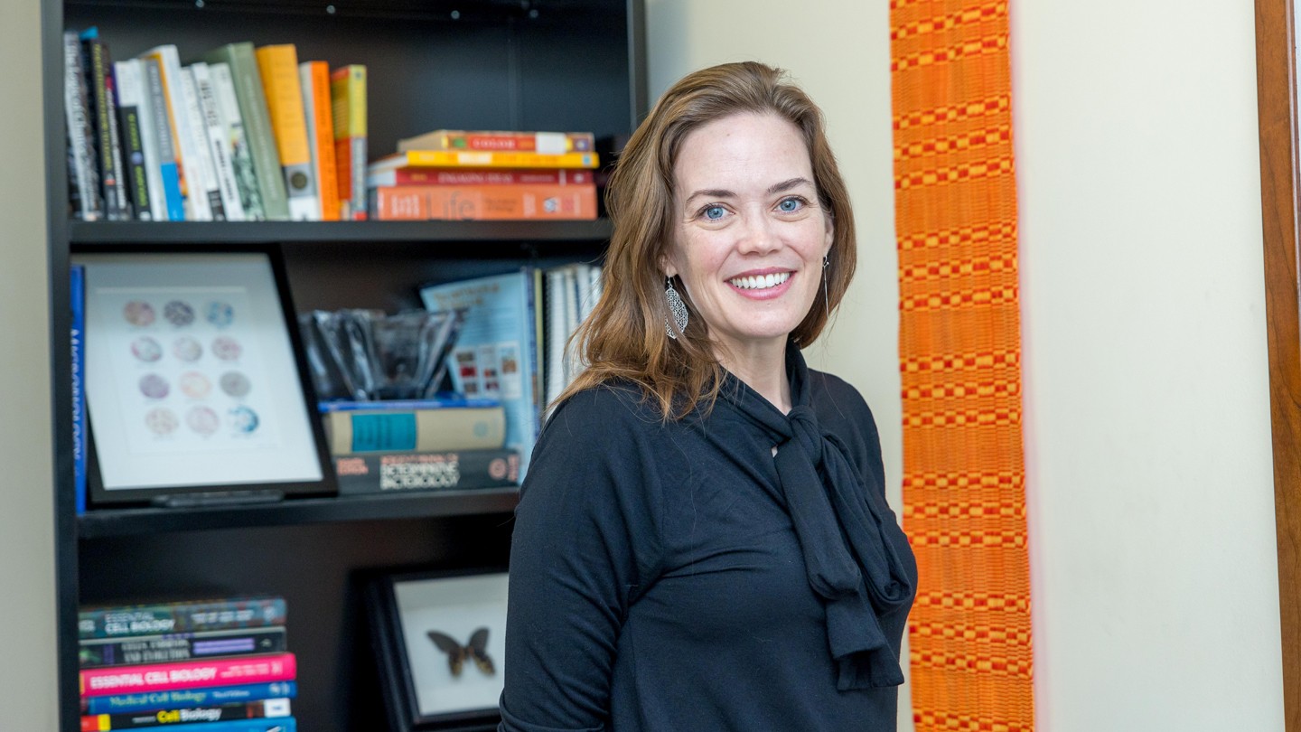 Full of Wonder | Stonehill Alumni Magazine | Stonehill College