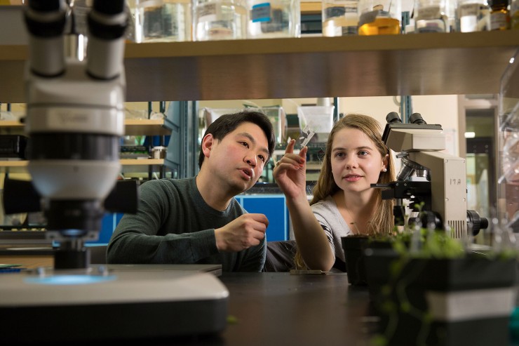 Mathematics Major & Minor | Stonehill College