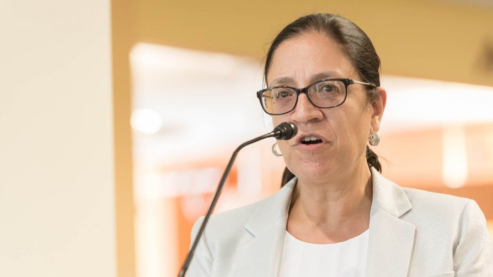 Outstanding Faculty Service Award for Professor Maria A. Curtin ...