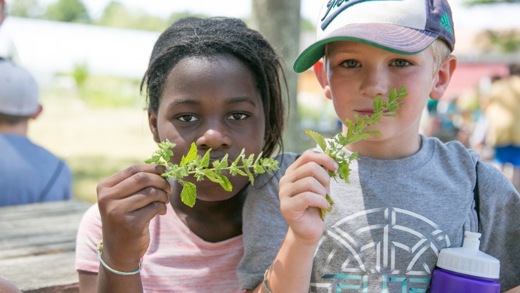 The Farm at Stonehill | Stonehill College