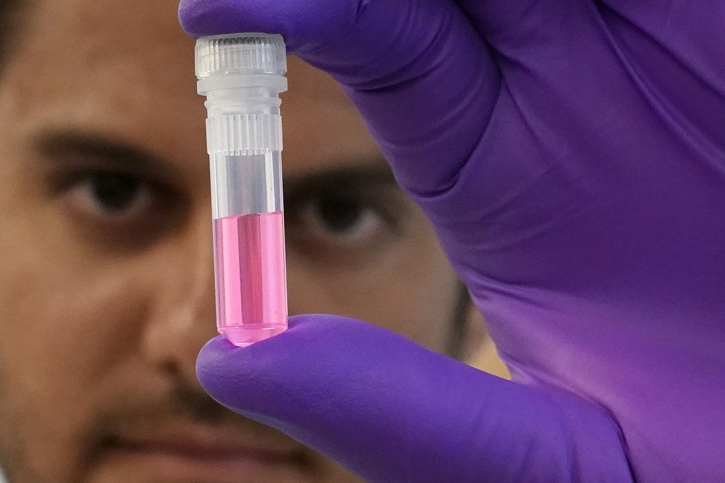 ‘Science is the pursuit of truth’ | Stonehill College